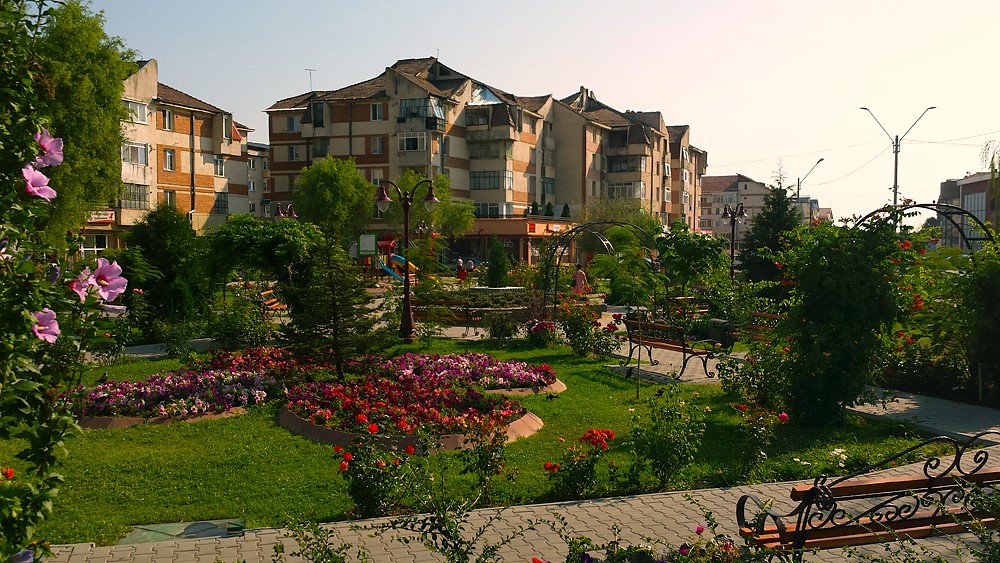 Primaria Găești - Jud. Dâmbovița